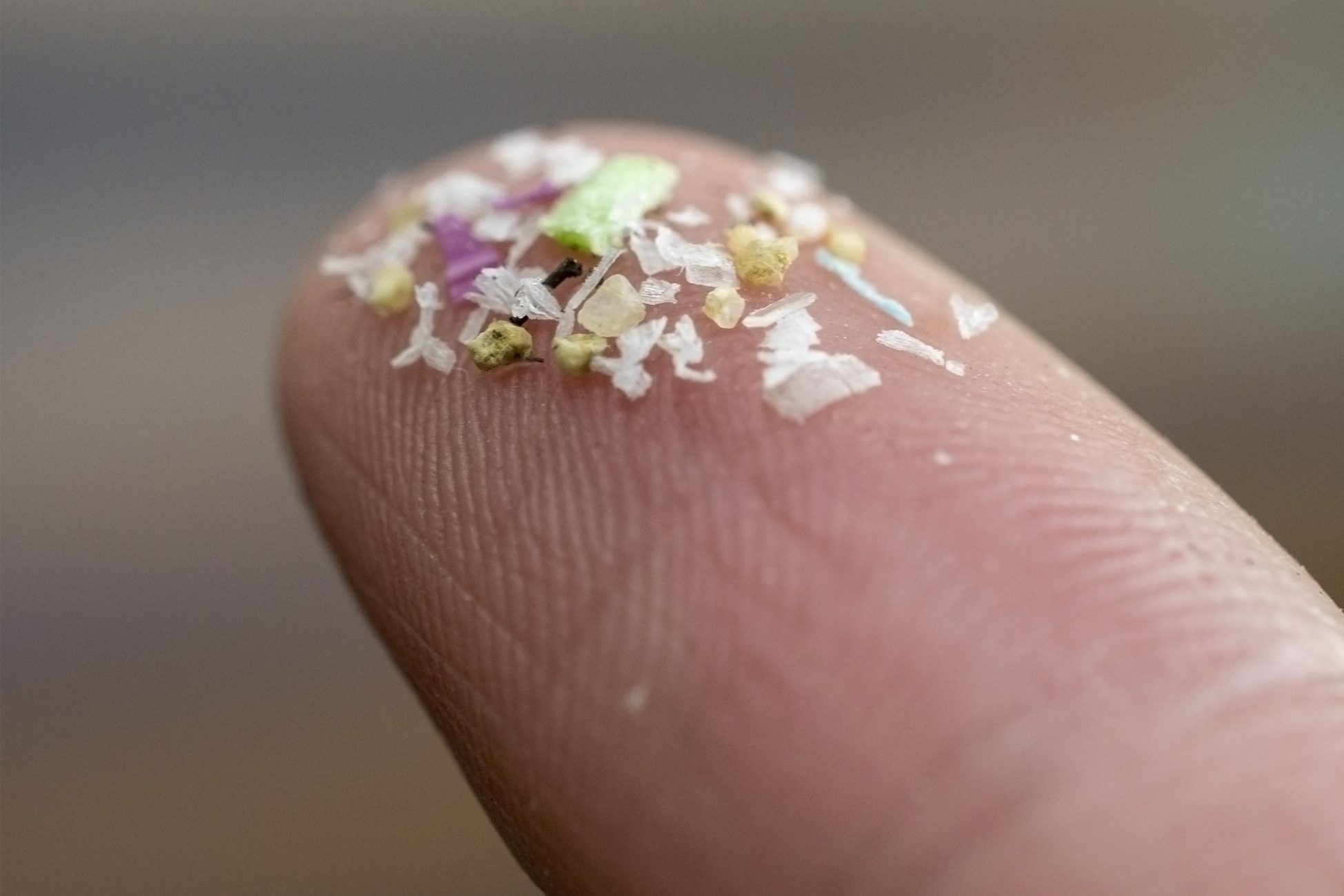 Microplastics Discovered In Sediment Layers Untouched For Hundreds Of ...