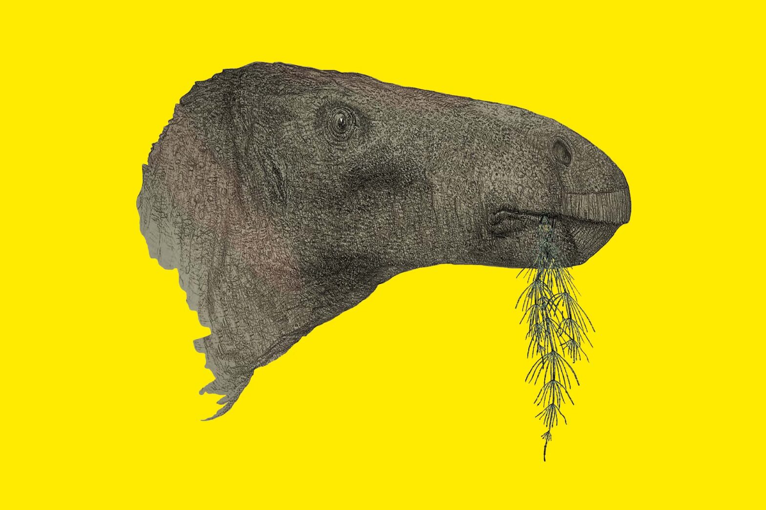 New species of dinosaur discovered in England - Pubity