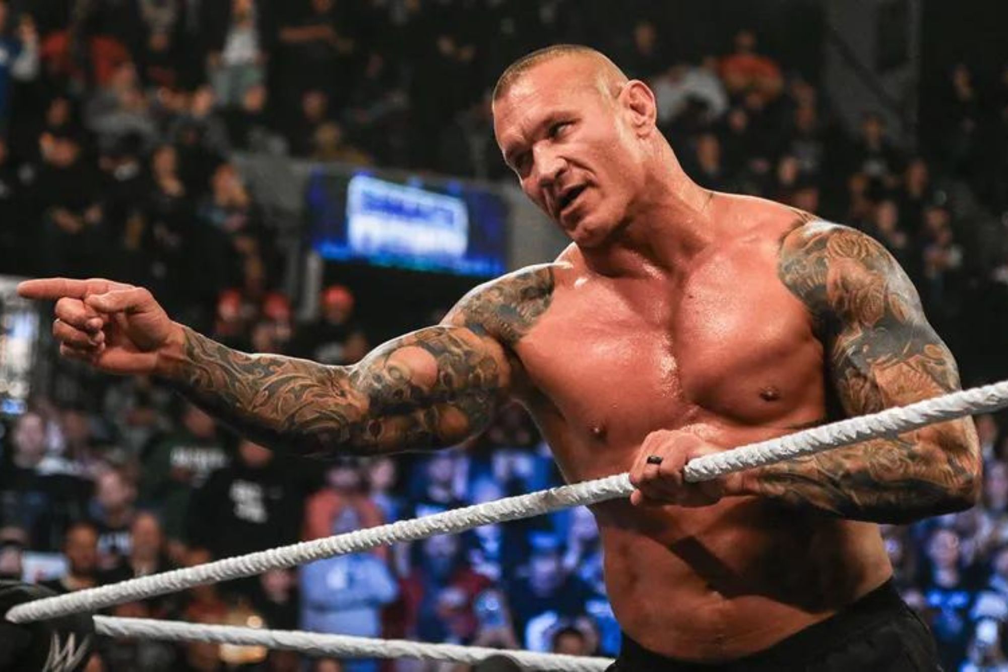 Randy Orton reveals he’s played 600 hours of Elden Ring - Pubity