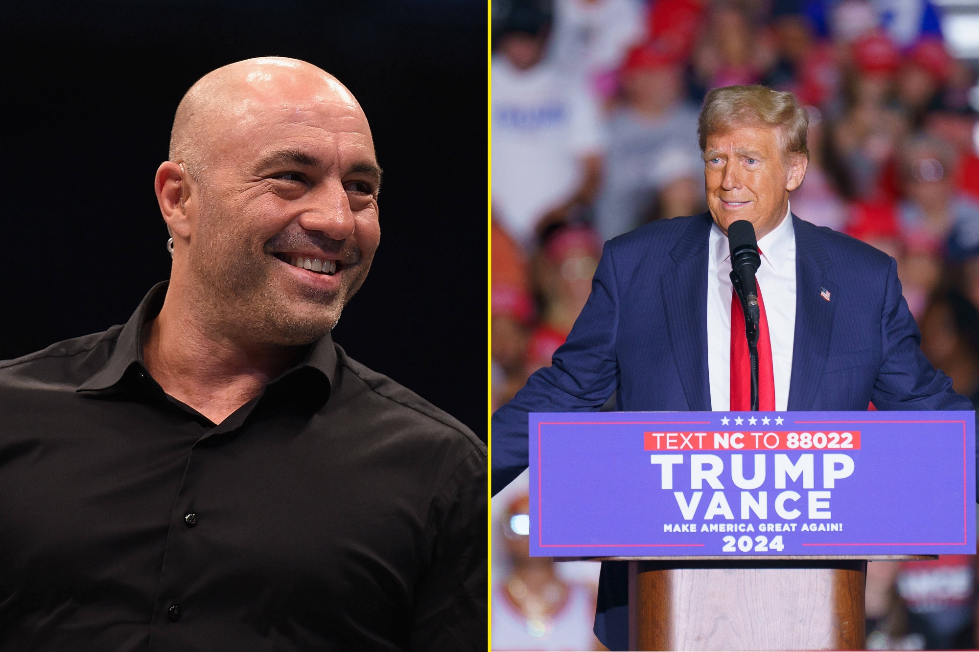 Trump to appear on Joe Rogan podcast - Pubity