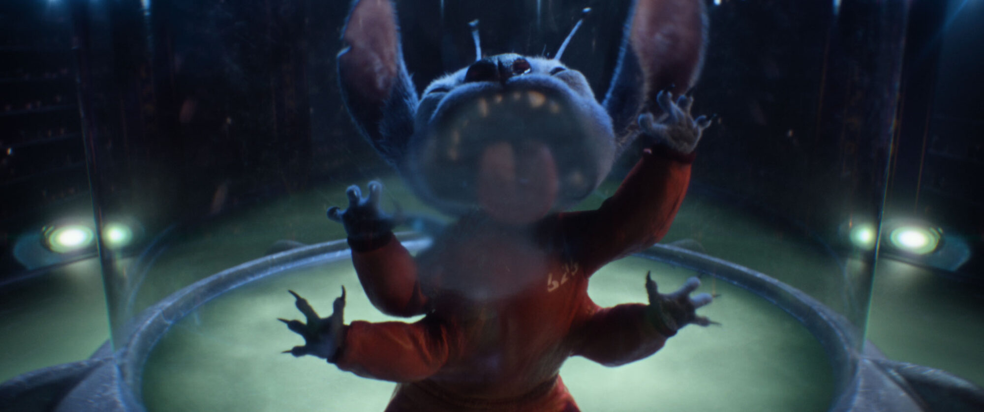 Live action Lilo & Stitch cast: Who's in the film? - Pubity