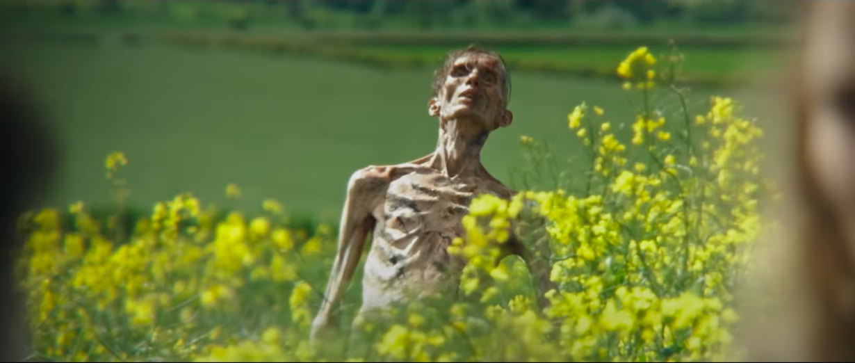 Three of the biggest 28 Years Later plot theories - Pubity