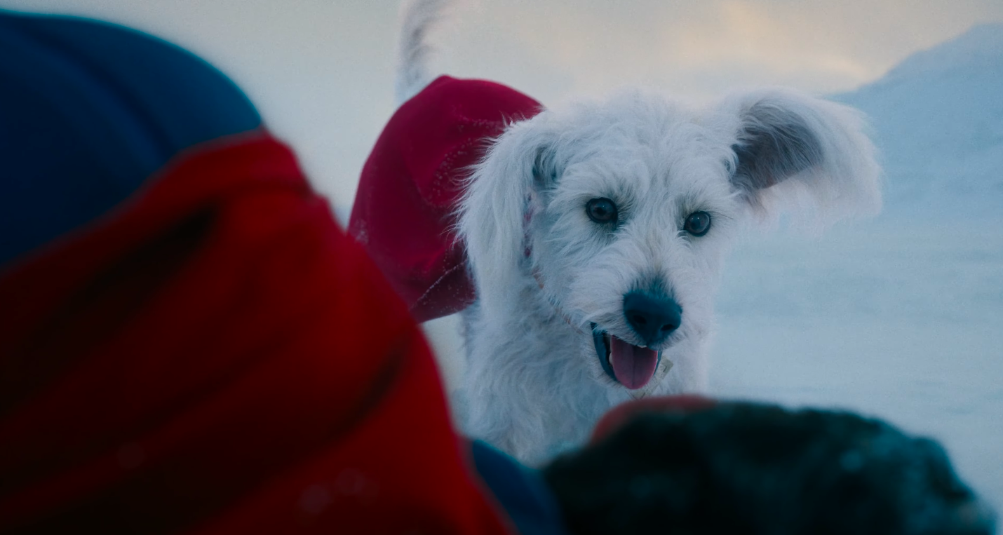 Superman trailer arrives, Krypto saves the day- Pubity