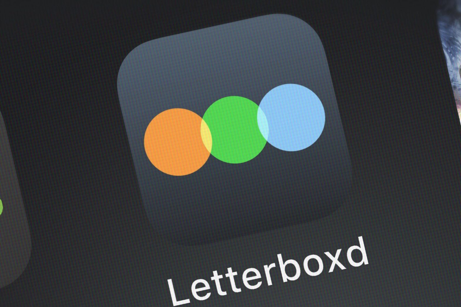 Where can I find my Letterboxd Wrapped? - Pubity