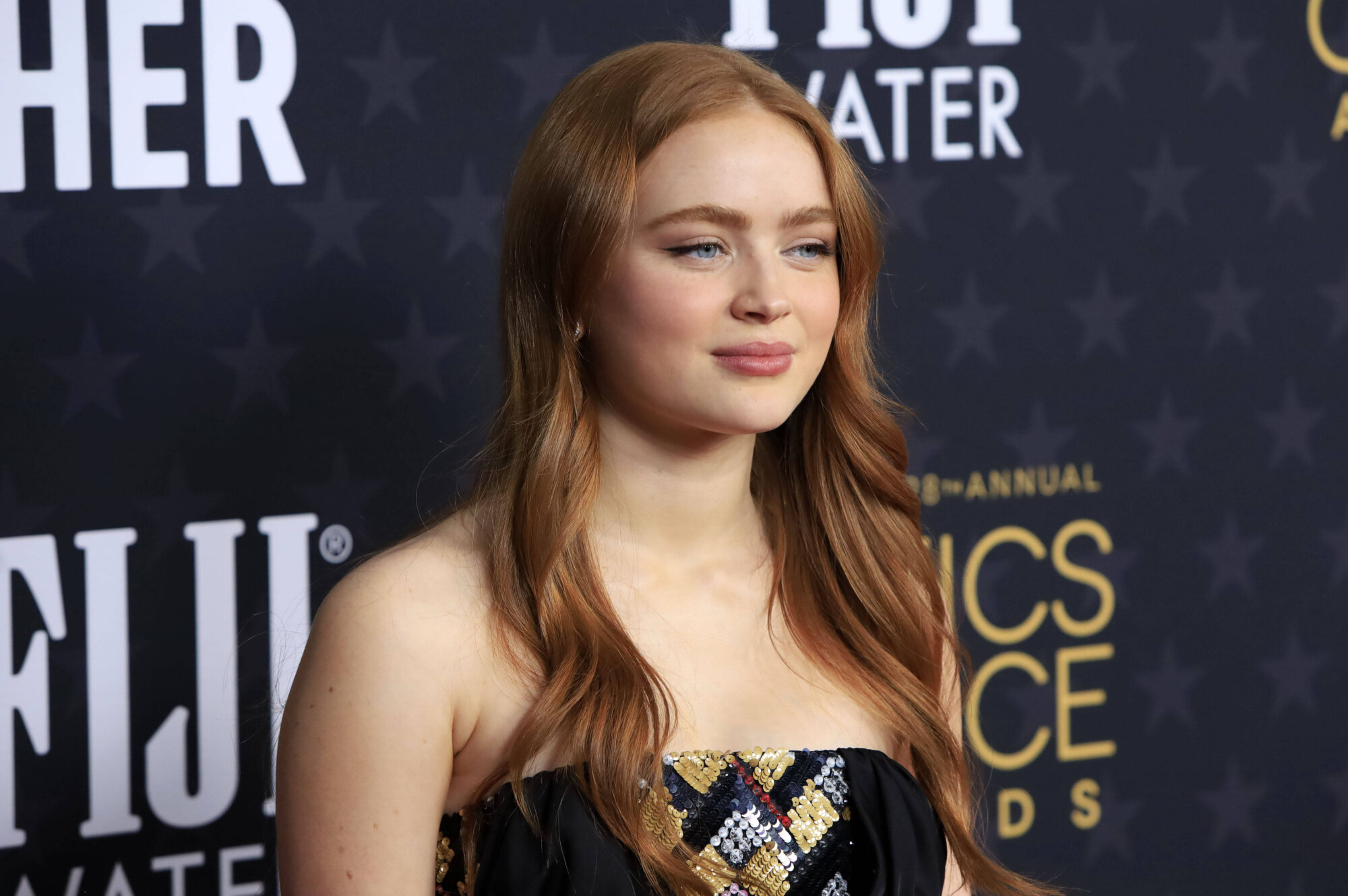 What is Actress Sadie Sink’s Net Worth? - Pubity