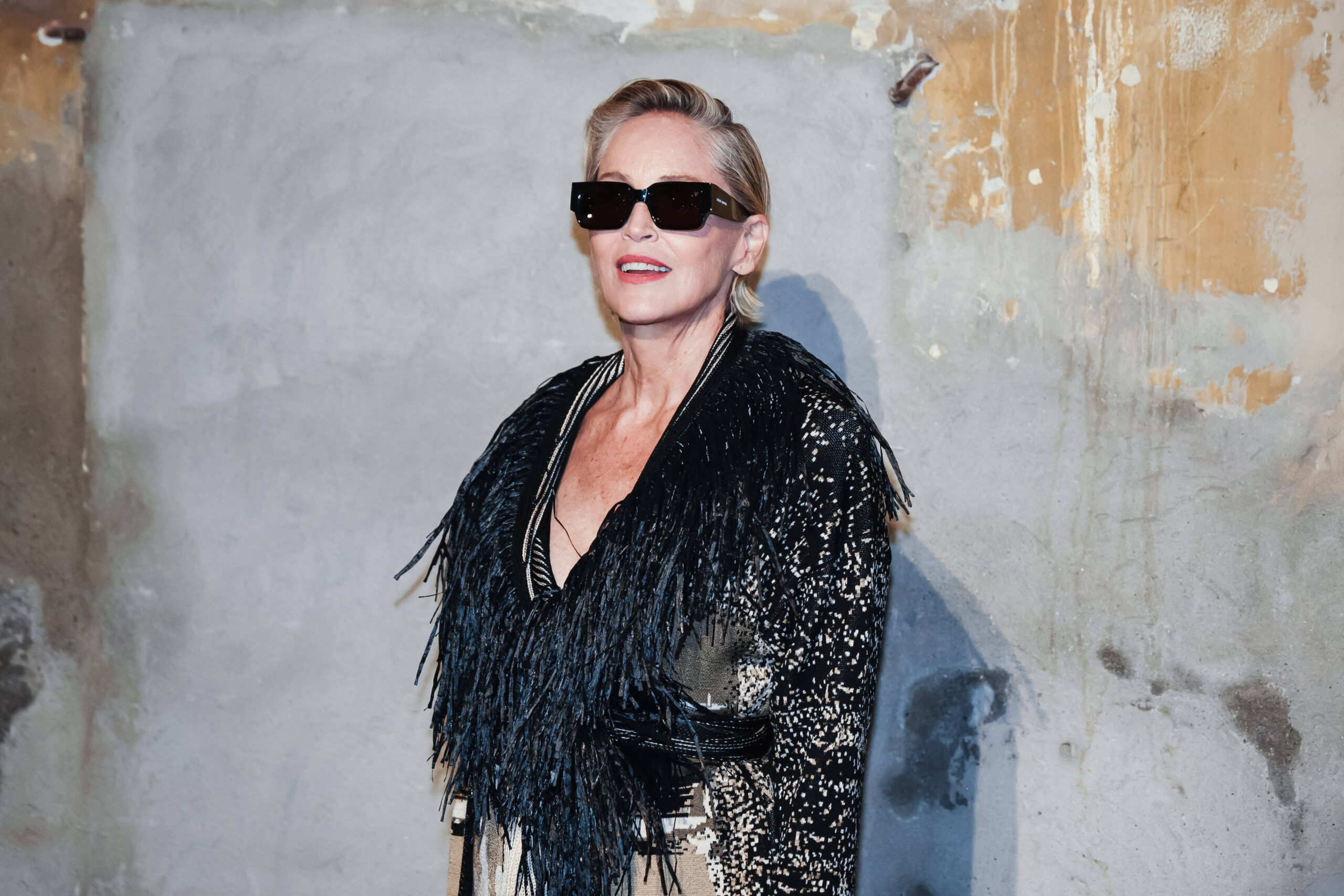 Another Simple Favor: Sharon Stone Was Dropped - Pubity
